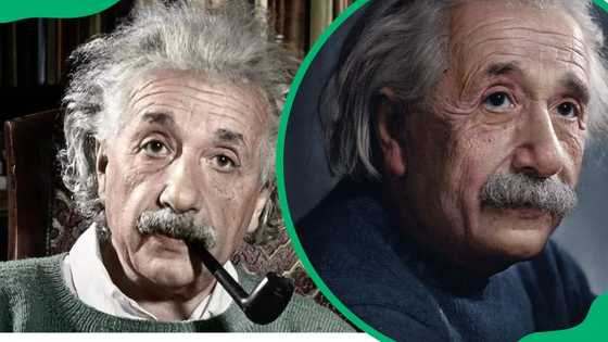 25 famous people who changed the world and impacted history - Briefly.co.za