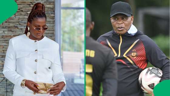 Foreign Investors Overtake Local Interest in R20 Million Race to Buy ...