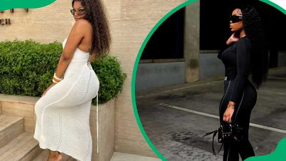 Discover how much a BBL is in South Africa and what to expect - Briefly ...