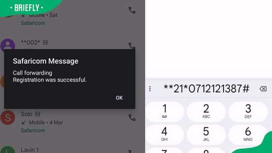 How to divert calls to another number: Easiest methods - Briefly.co.za