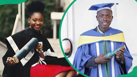 TUT courses available for 2024-2025: complete list with faculties ...