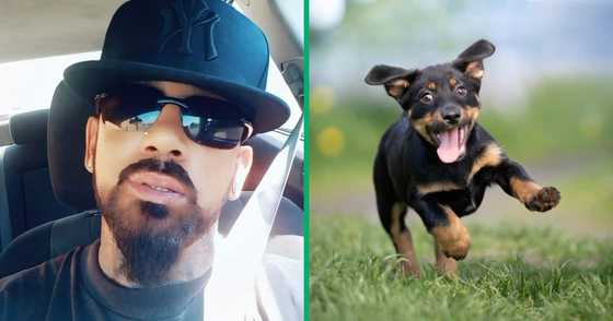 Dog Runs With Man’s Car Keys on Good Friday, Mzansi Laughs: “So ...