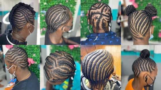 50+ best cornrows hairstyles in South Africa: Stunning styles to try in ...