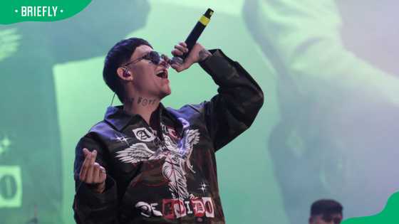 Junior H's age and detailed biography: All about the singer - Briefly.co.za