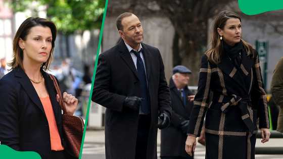 How did Erin die in Blue Bloods season 14? Finale breakdown - Briefly.co.za
