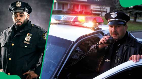 Why Are Cops Called 12 The Real Origins Of The Police Nickname