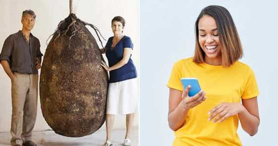 SA Shares Hilarious Reactions to Burial Pod Which Turns Dead Bodies ...