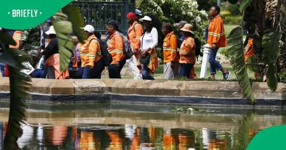 eThekwini Cancels EPWP Contracts Because It Cannot Afford It - Briefly ...