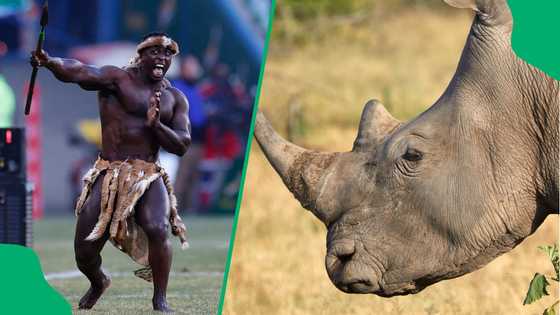 “Africans Are Built Different”: Hulk Like Man With Horn Jutting From ...
