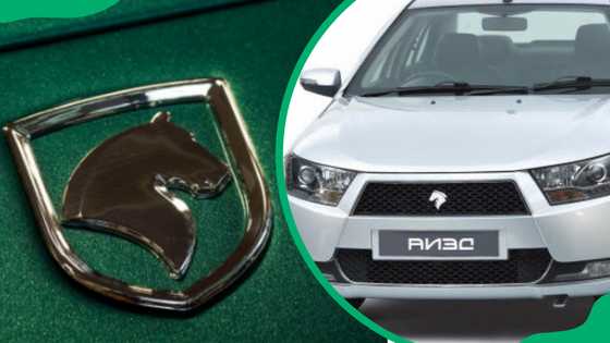 Top 11 cars with horse logos: the ultimate list for auto fans - Briefly ...