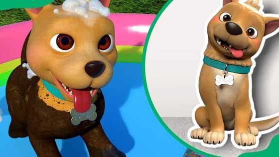 Meet the Cocomelon characters: Names, images and fun facts - Briefly.co.za