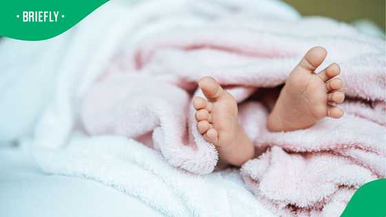 Second Baby Among Limpopo Triplets Dies at Letaba Hospital After Heart ...