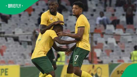 Bafana Bafana Beat Guinea 2-1 to Secure First Win at African Nations ...