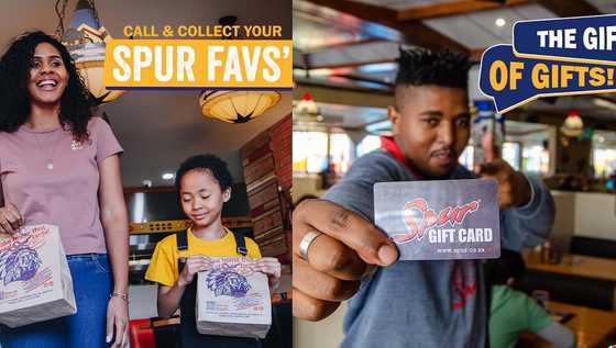 Spur family card 2022: rewards, benefits, registration, how does it ...