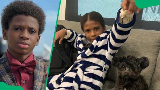 Meet Chase Dillon: the young actor who stole the show in 'Haunted ...