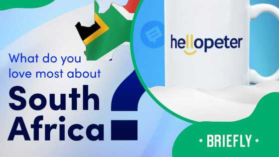How to check a company on Hellopeter: A step-by-step guide - Briefly.co.za