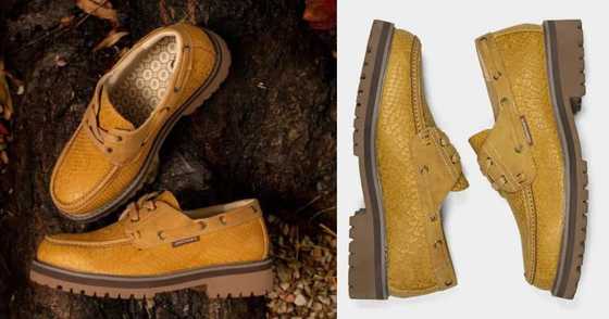 Jonathan D shoes prices in South Africa in 2024 and more - Briefly.co.za