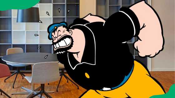 The 25 most famous fat cartoon characters of all time - Briefly.co.za
