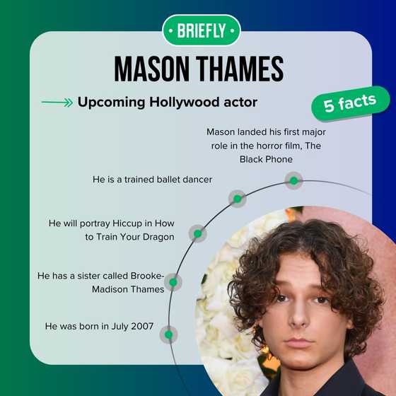Who is Mason Thames, the 'How to Train Your Dragon' actor? - Briefly.co.za