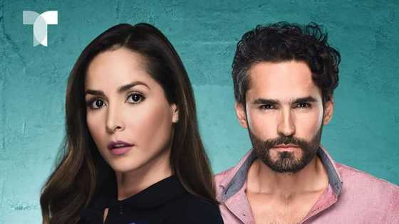 True Love: cast members, full story, plot summary, teasers - Briefly.co.za