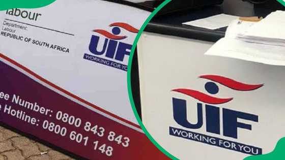 Department of Labour's WhatsApp number: How to check your UIF balance ...