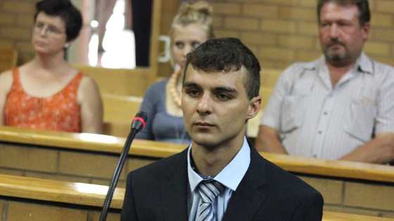 Nicholas Ninow age, fiance name, mother, dros video, case, testimony ...