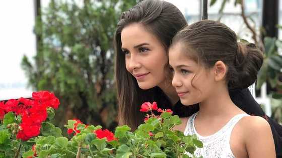 eExtra's Elif: cast, real name, episodes, synopsis, plot summary ...