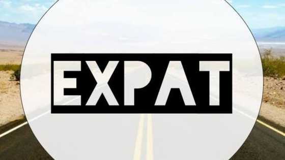 Everything you need to know about SAPS ranks - Briefly.co.za