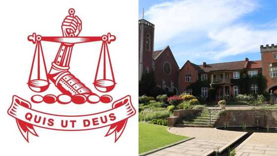 NOSA courses and fees 2024: SafetyCloud occupational health and safety ...