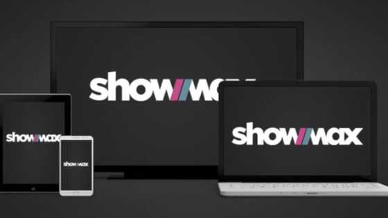 Showmax download steps and details: what you need to know - Briefly.co.za