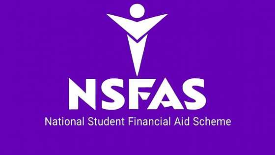 How to get FNB travel insurance - Briefly.co.za