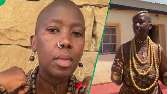 20 Funniest South African jokes ever - Briefly.co.za