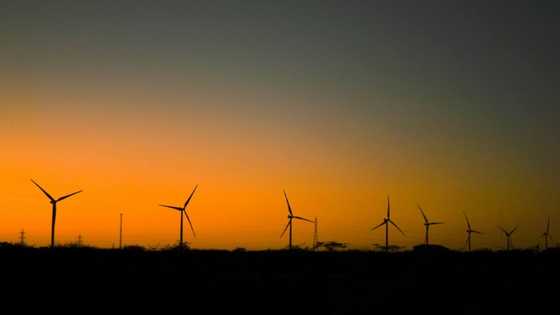 What is lobola in South Africa? Meaning, ceremony, letter, negotiations ...