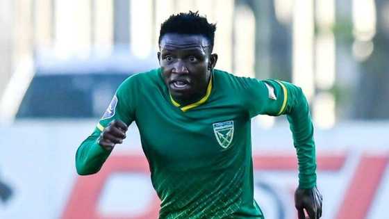 List of Standard Bank branch codes in 2024: All universal codes ...