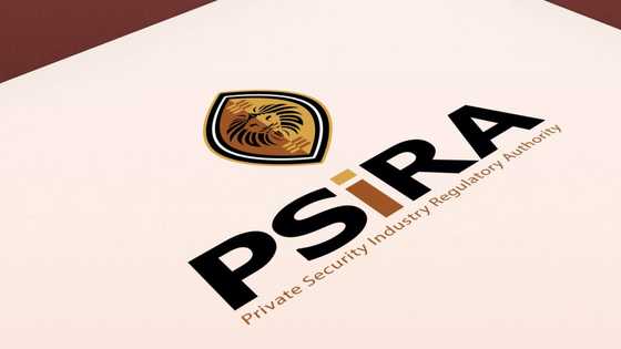 70+ list of top security companies in Pretoria in (2024) - Briefly.co.za