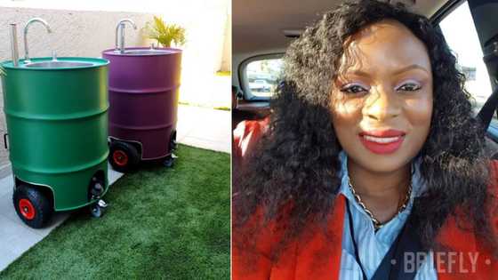 The Intellimali system: All details you need to know about it - Briefly ...