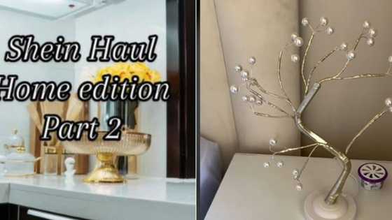 All DStv packages, channels, and price comparisons for 2025 - Briefly.co.za