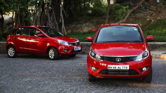 What does PTY LTD mean? Business types in South Africa (with examples ...