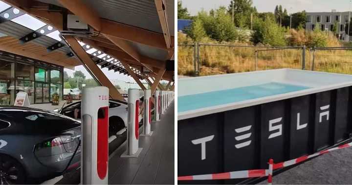 Tesla Builds First-Ever ‘Super Pool’ for Owners to Relax and Swim Laps ...