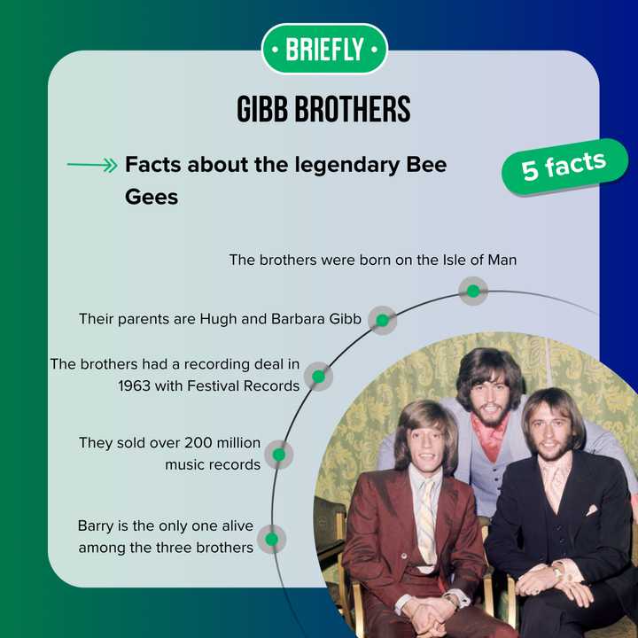 The Gibb brothers: How three siblings became the legendary Bee Gees ...