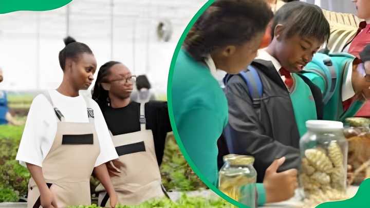 UNISA short courses and programmes: Price list and requirements in 2026 ...