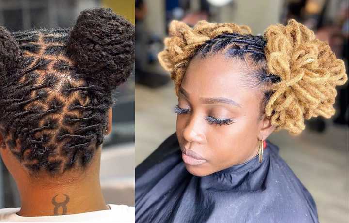 50+ latest dreadlock hairstyles for different hair types - Briefly.co.za