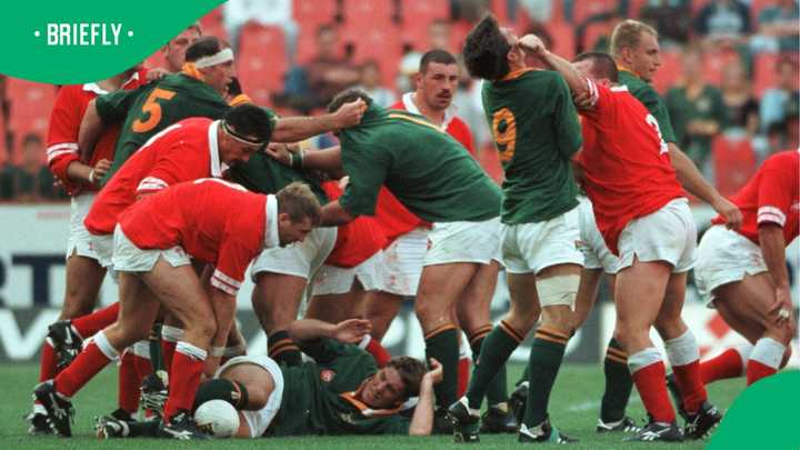 1995 Rugby World Cup: How the Springboks’ Victory United South Africa ...