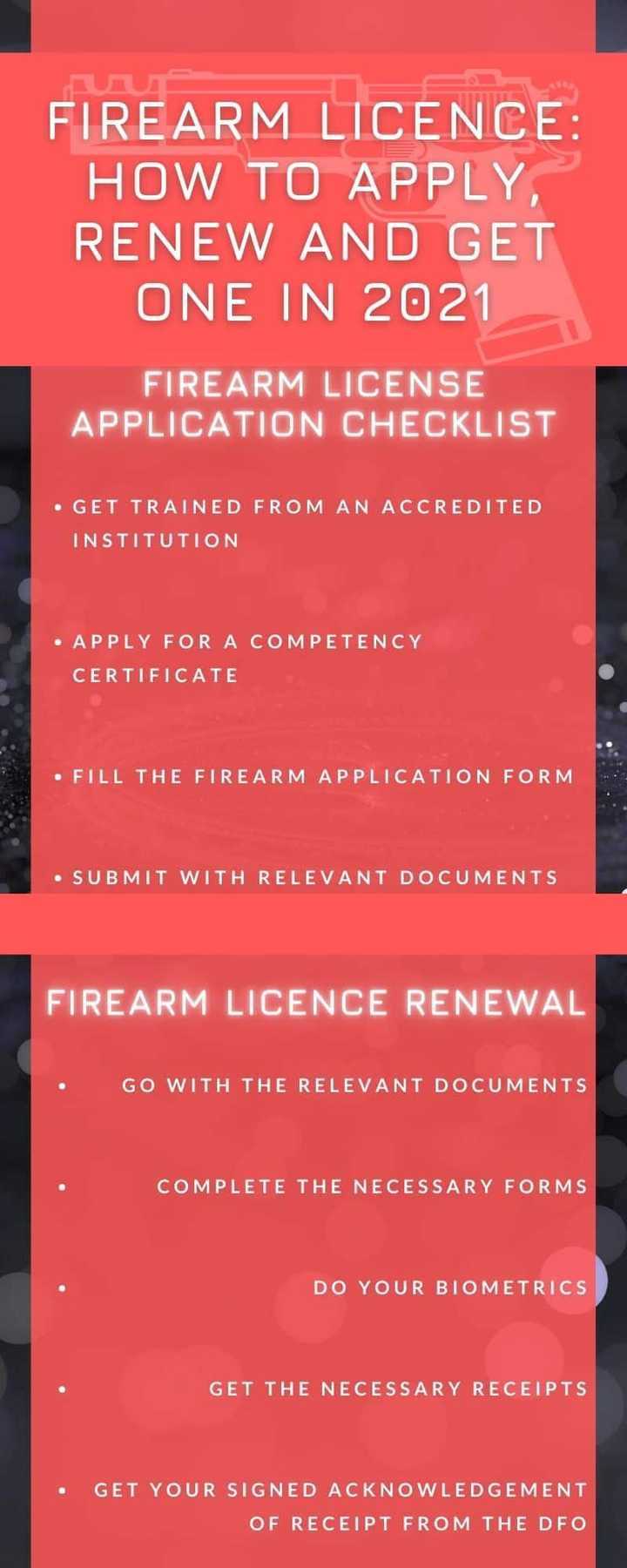 Firearm licence: how to apply, renew and get one in 2024 - Briefly.co.za