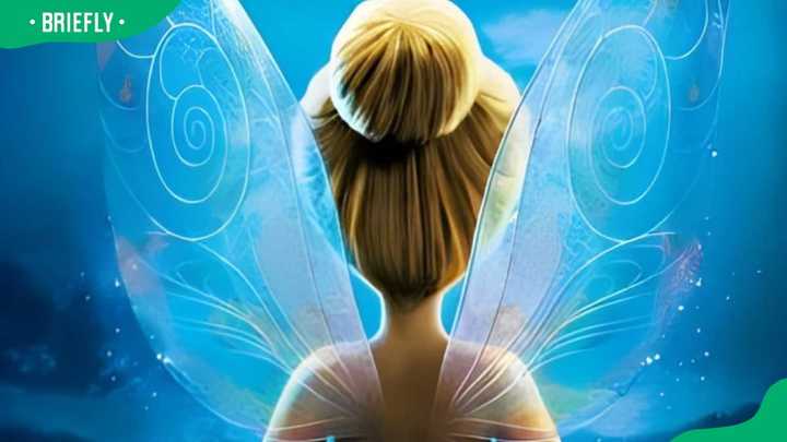 Tinker Bell movies in order: a quick and easy guide for fairy fans ...