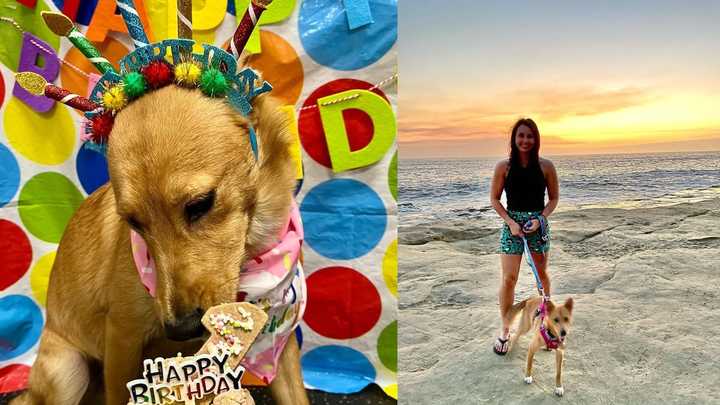 Who is Kim Quintero? Age, husband, salary, political party, profiles ...