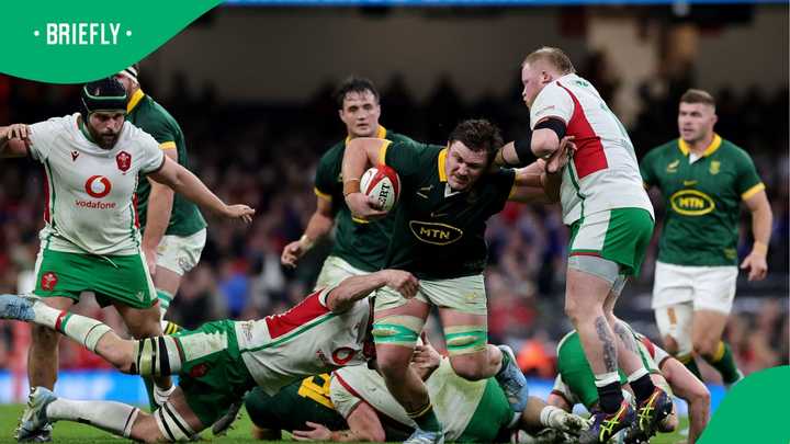 Springboks Coach Rassie Erasmus Names Revamped Squad Ahead of All ...