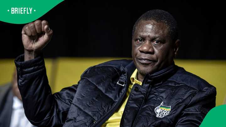 Paul Mashatile’s Children Scored R91 Million in Tenders, South Africans ...