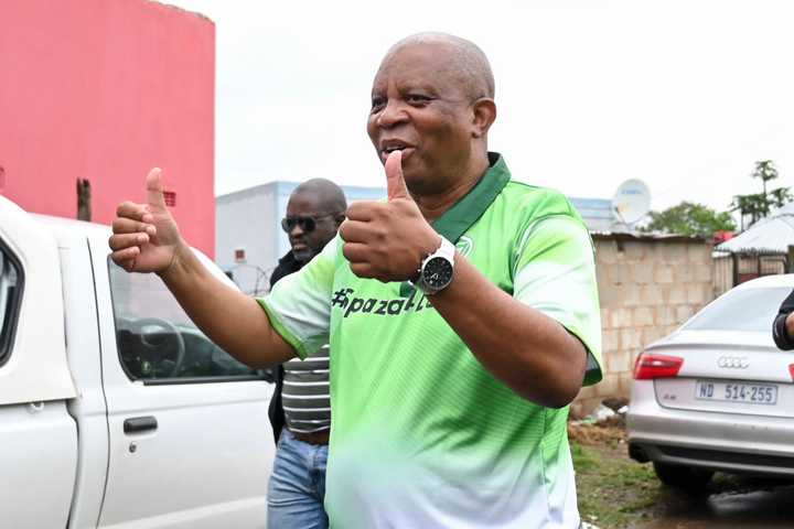 SA Roasts Herman Mashaba After Expressing Willingness To Join GNU - Briefly.co.za