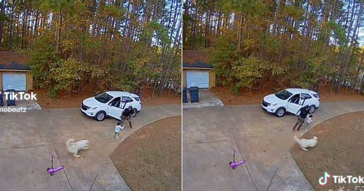 Dad Goes Full Beast Mode Protecting 3-Year-Old From Vicious Dog, TikTok ...
